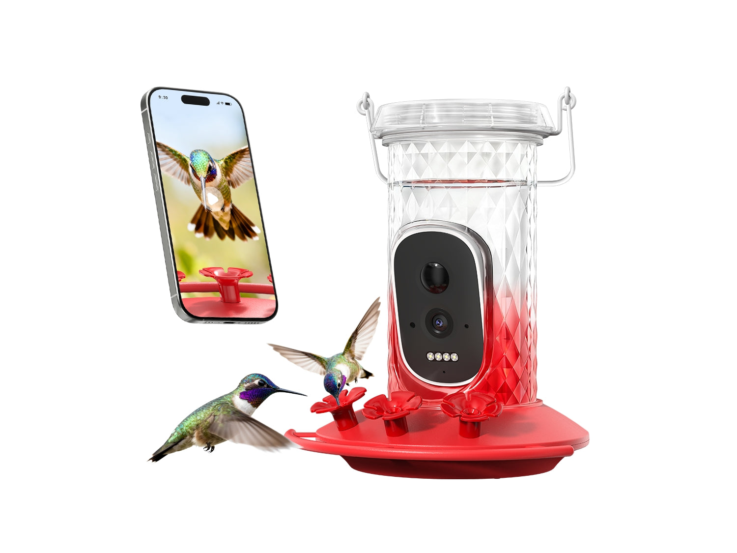 Humbird Feeder – Vinguys