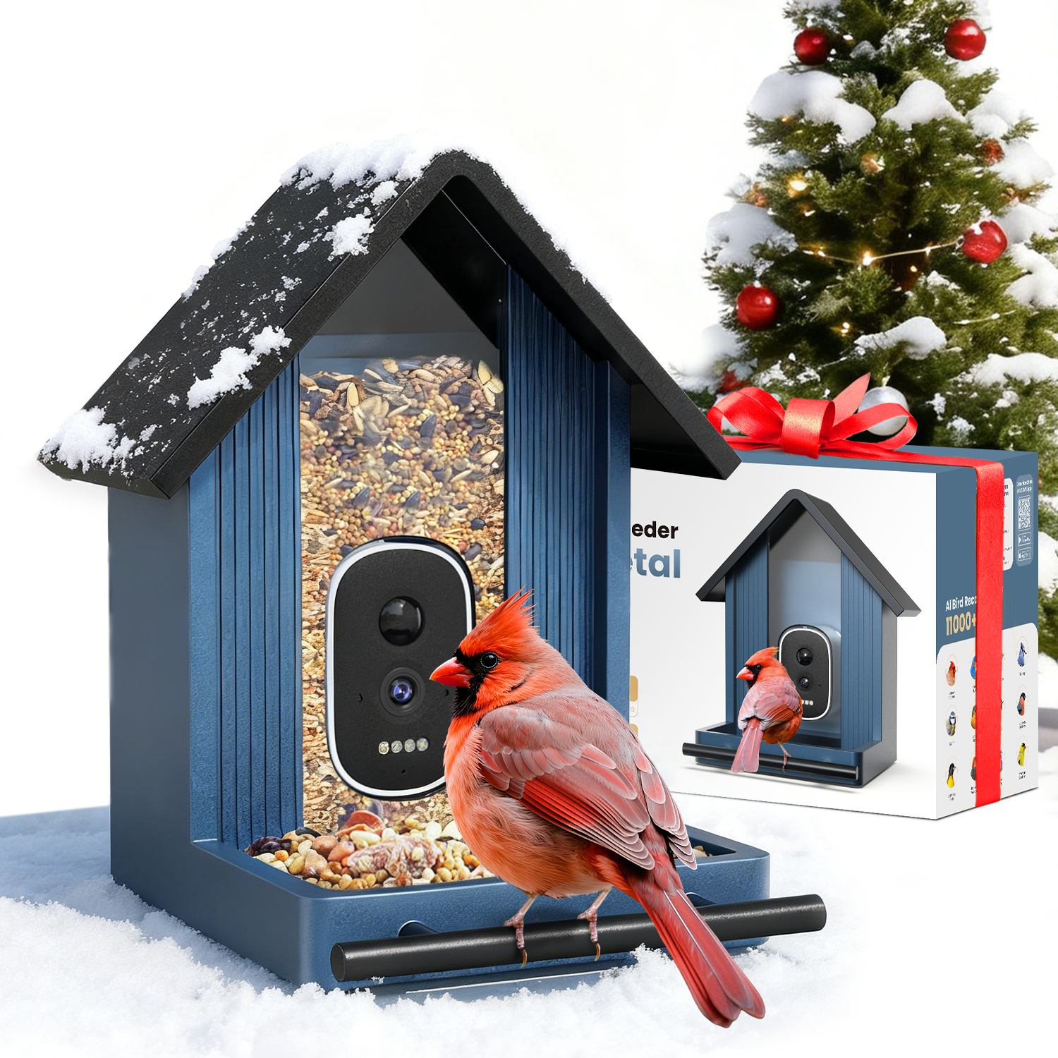 Vinguys - Feed Smarter, Enjoy Better - Affordable Bird Feeder Camera