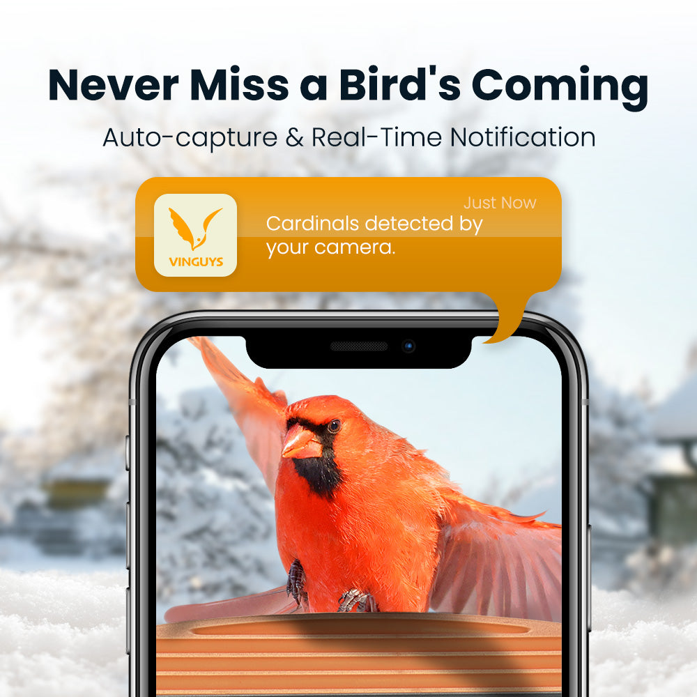 VINGUYS | Smart Bird Feeder with Camera V-Feeder | AI Recognize | 2.5K ...