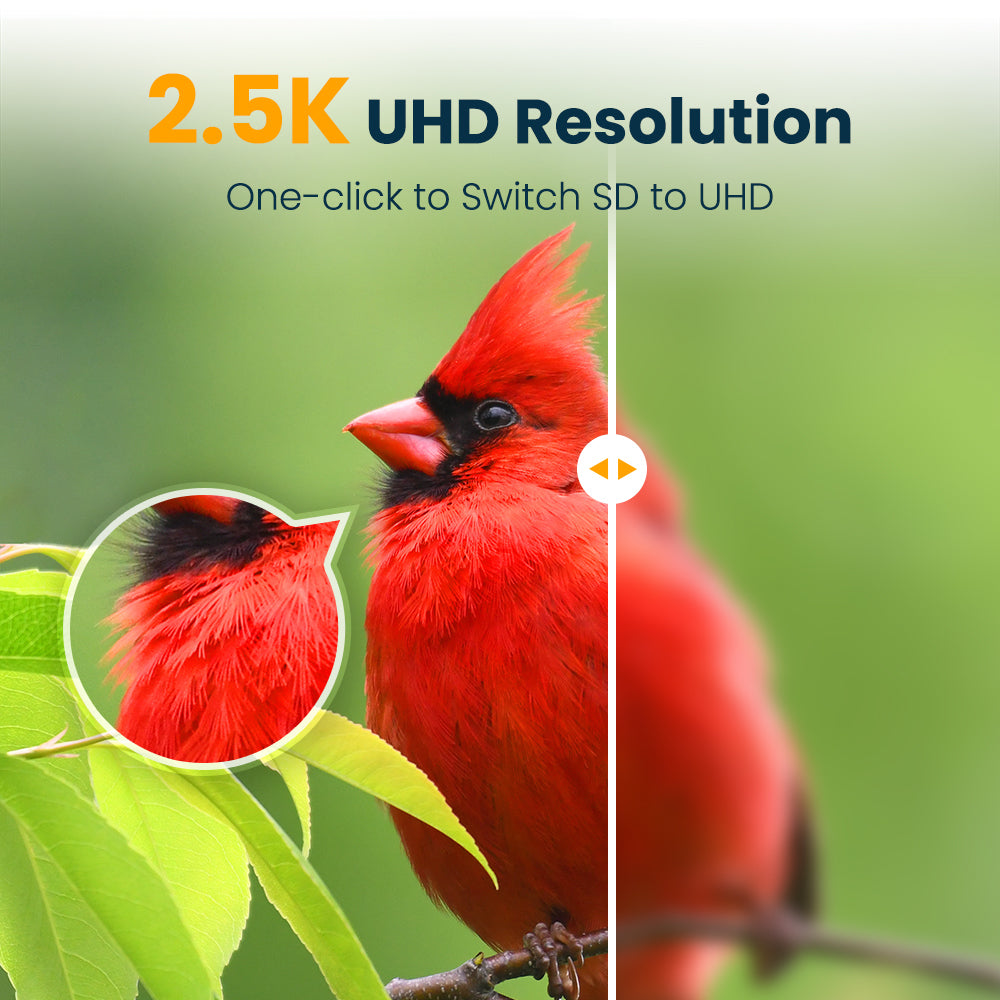 VINGUYS | Smart Bird Feeder with Camera V-Feeder | AI Recognize | 2.5K ...