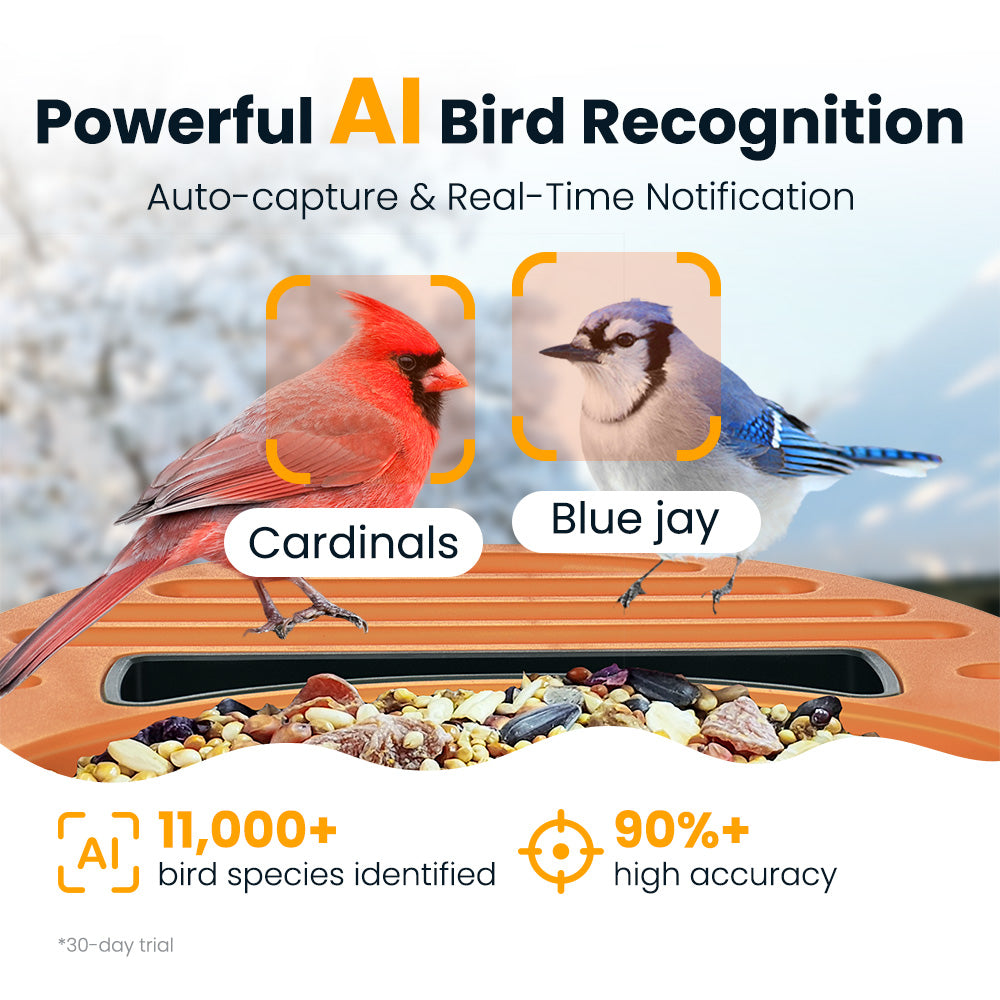 VINGUYS | Smart Bird Feeder with Camera V-Feeder | AI Recognize | 2.5K ...