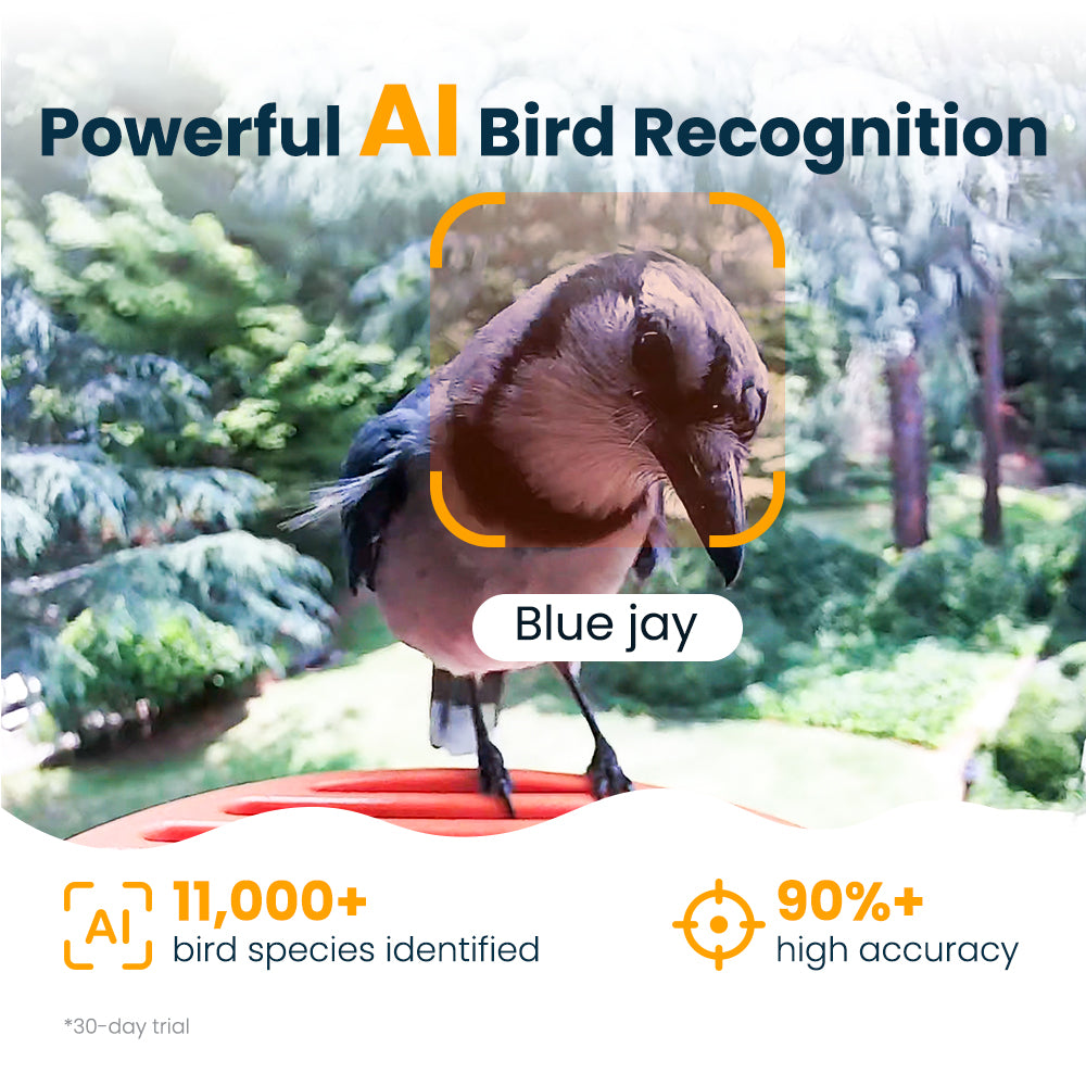 VINGUYS | Smart Bird Feeder with Camera V-Feeder | AI Recognize | 2.5K ...