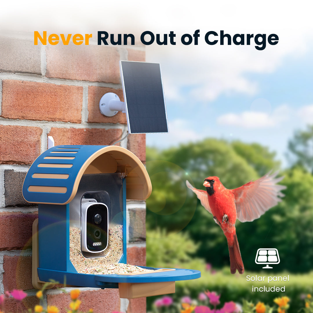 VINGUYS | Smart Bird Feeder with Camera V-Feeder | AI Recognize | 2.5K ...