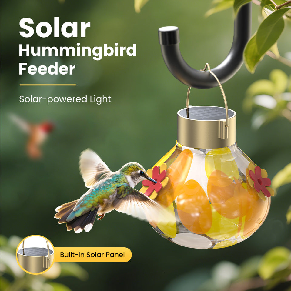 VINGUYS Solar Hummingbird Feeder with Light – Vinguys