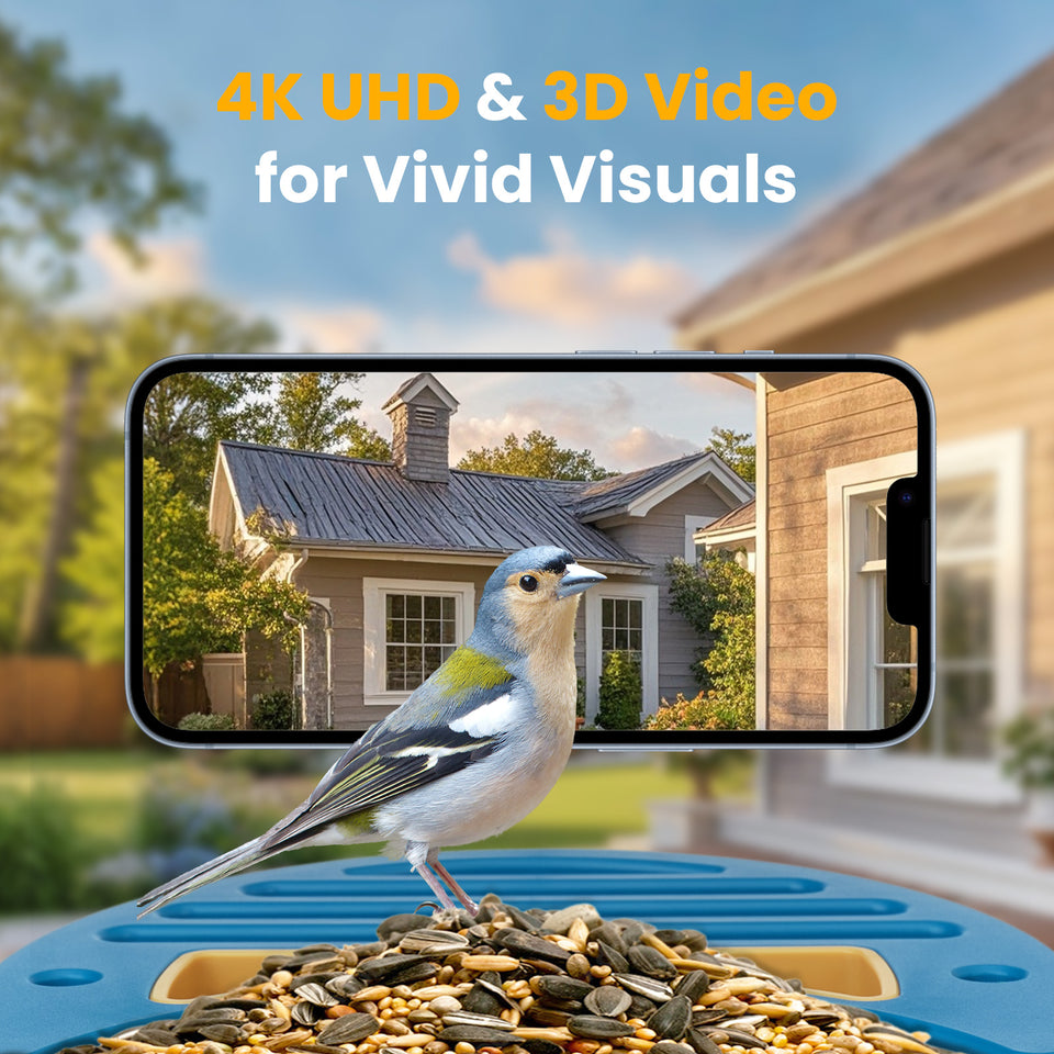 VINGUYS 64GB Micro SD Card – Vinguys