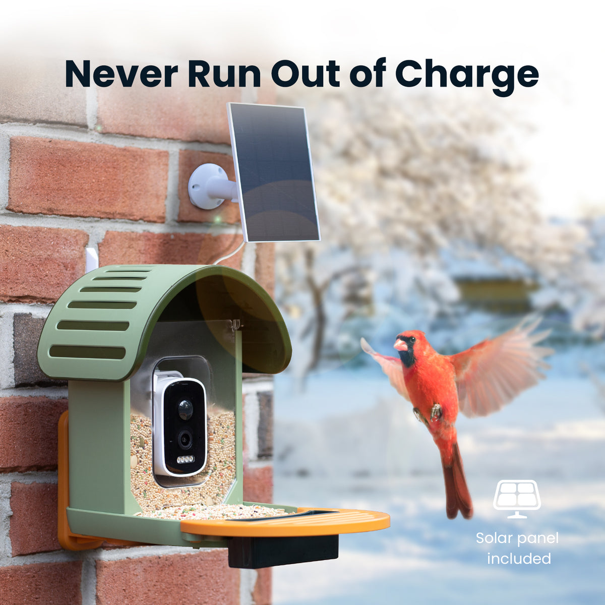 VINGUYS | Smart Bird Feeder with Camera V-Feeder | AI Recognize | 2.5K ...