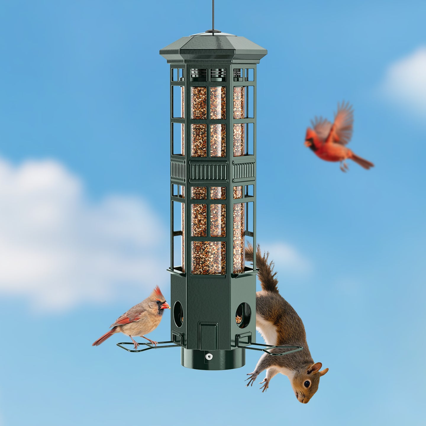 Vinguys - Feed Smarter, Enjoy Better - Affordable Bird Feeder Camera