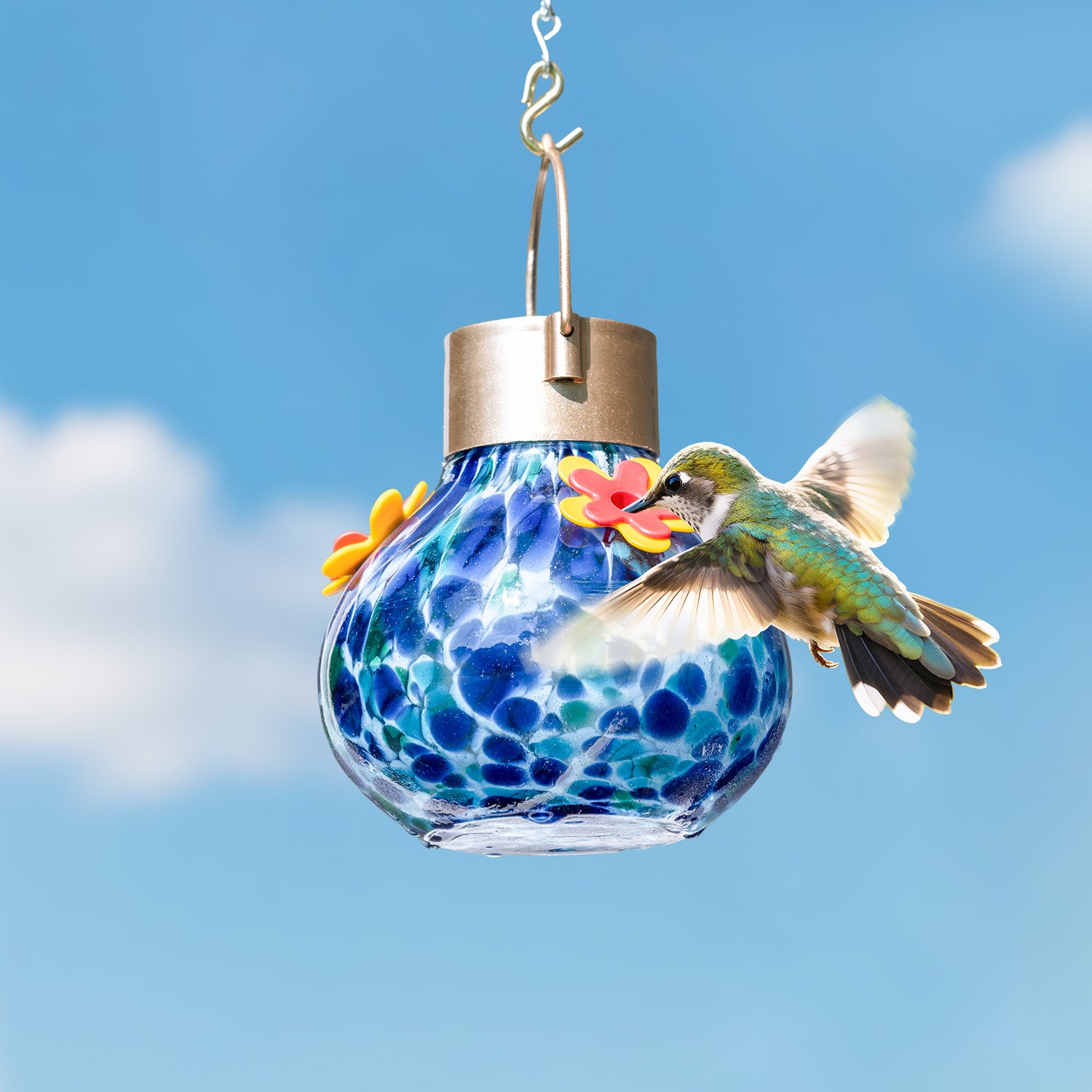 Vinguys - Feed Smarter, Enjoy Better - Affordable Bird Feeder Camera