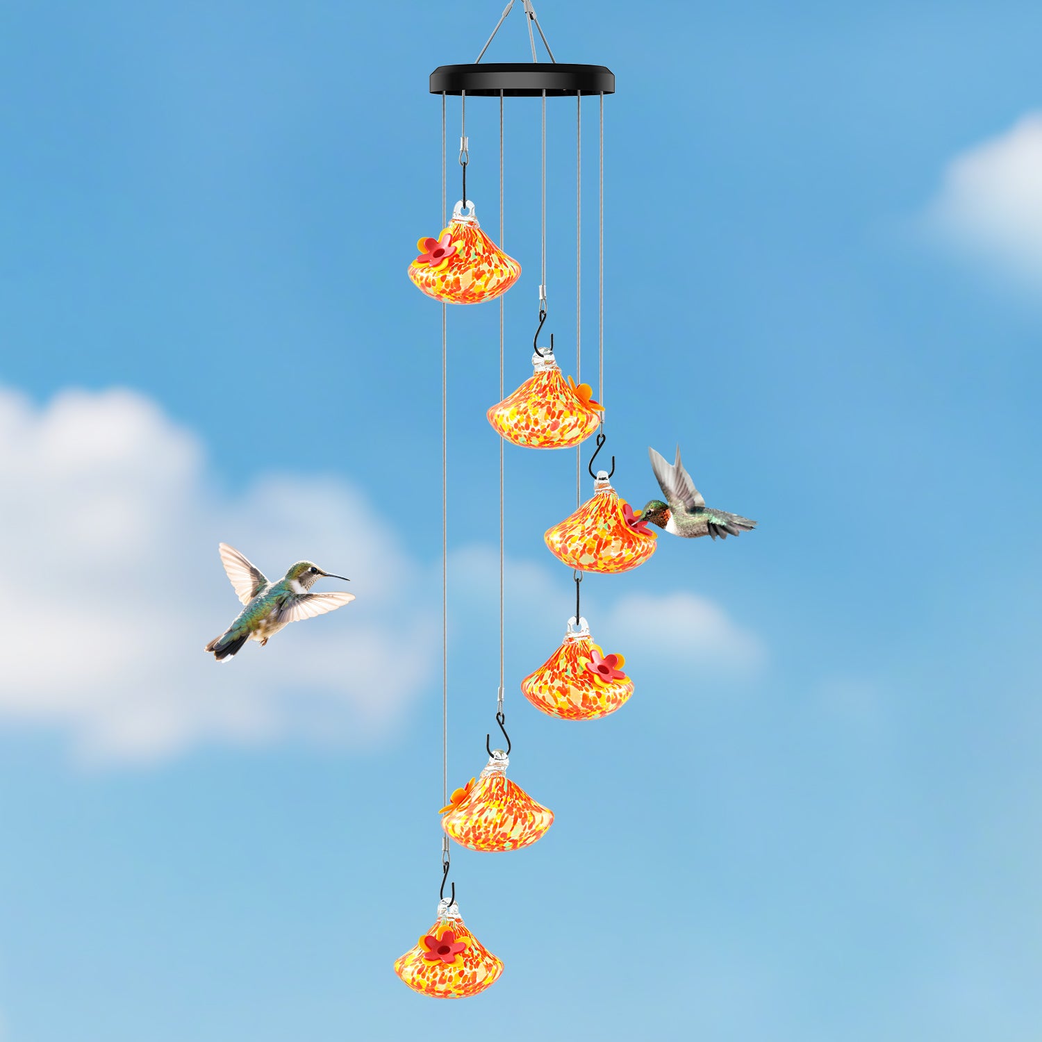 Vinguys - Feed Smarter, Enjoy Better - Affordable Bird Feeder Camera