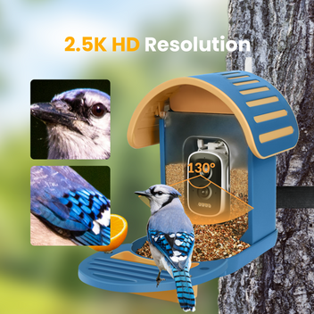 VINGUYS | Smart Bird Feeder with Camera V-Feeder | AI Recognize | 2.5K ...