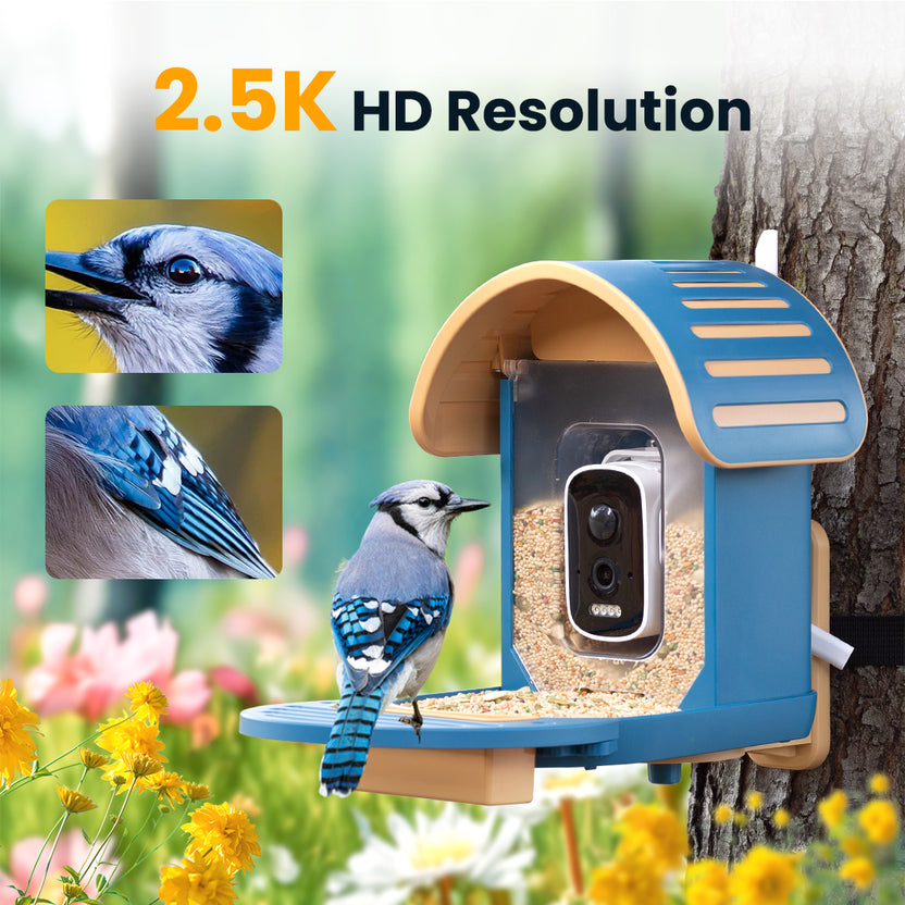 VINGUYS | Smart Bird Feeder with Camera V-Feeder | AI Recognize | 2.5K ...