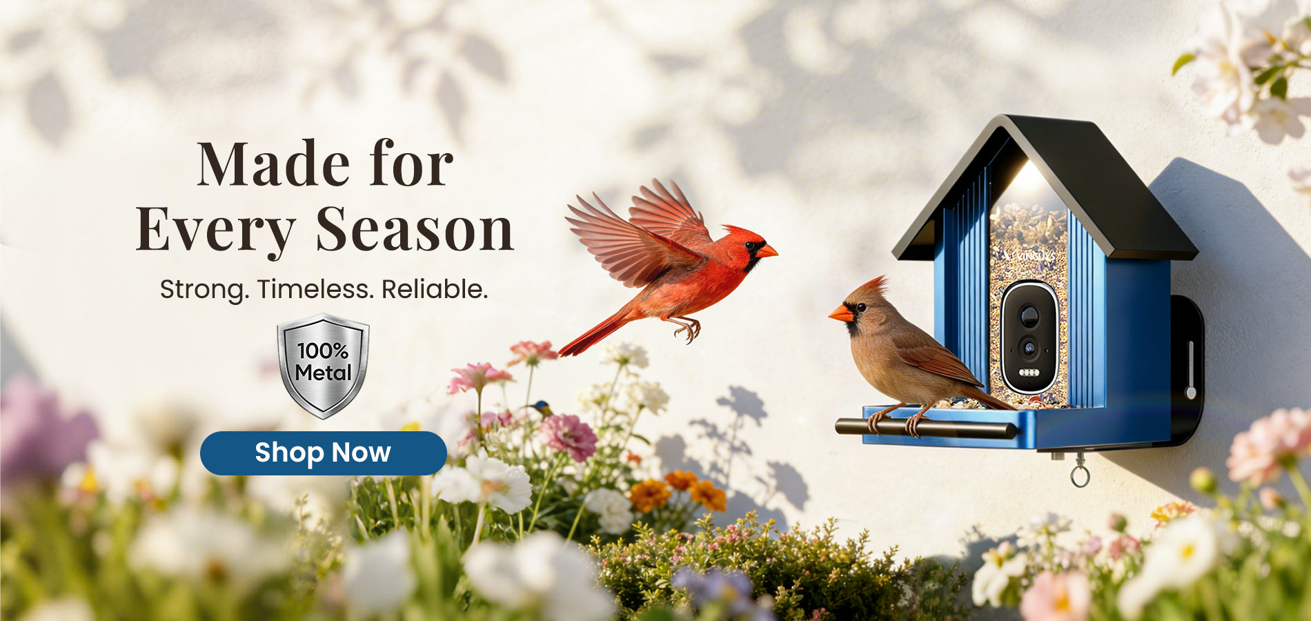 Vinguys - Feed Smarter, Enjoy Better - Affordable Bird Feeder Camera
