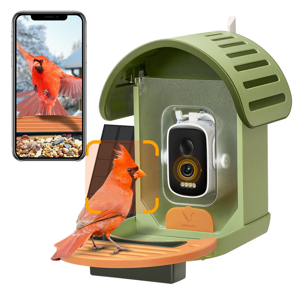 VINGUYS | Smart Bird Feeder with Camera V-Feeder | AI Recognize | 2.5K ...