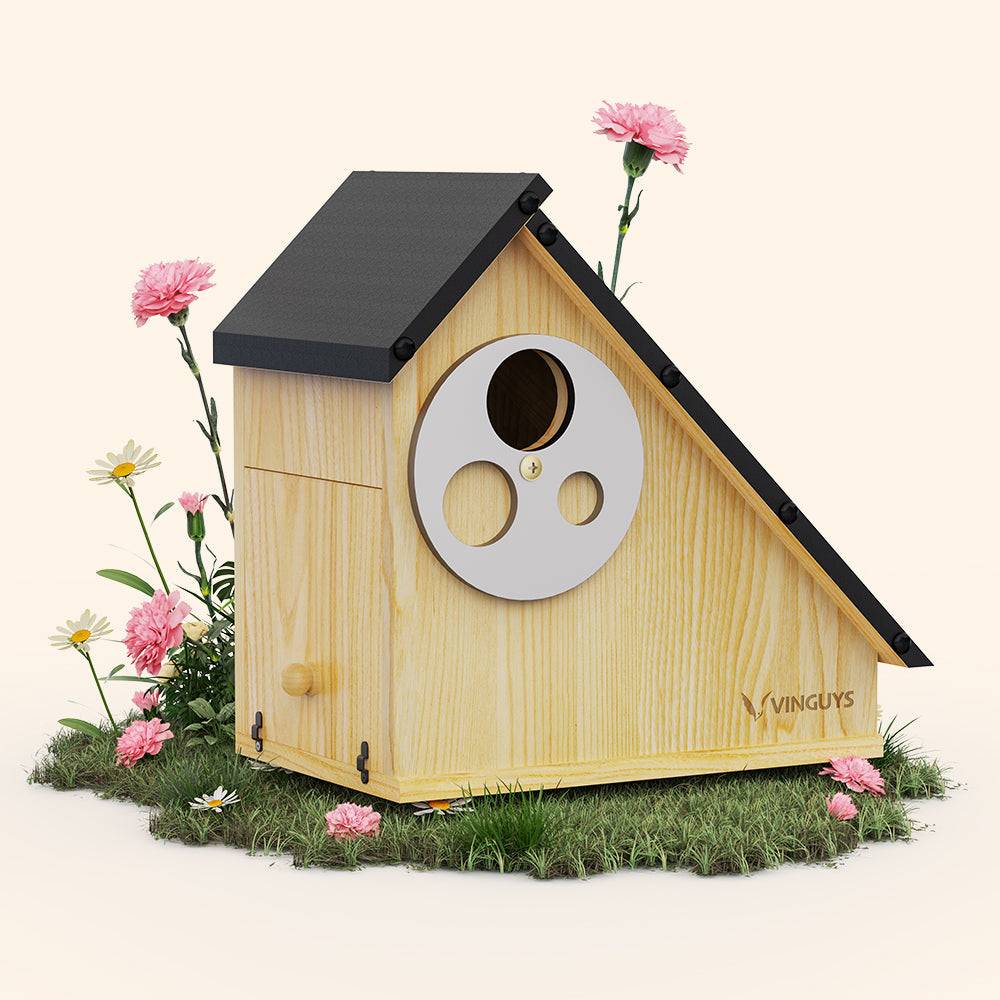 Vinguys - Feed Smarter, Enjoy Better - Affordable Bird Feeder Camera