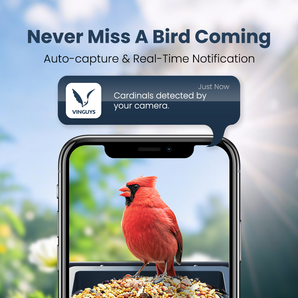 VINGUYS Smart Bird Feeder with Camera V-Feeder Metal-2.5k Camera – Vinguys