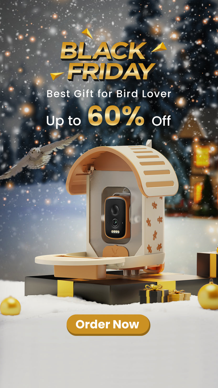 Vinguys - Feed smarter, enjoy better